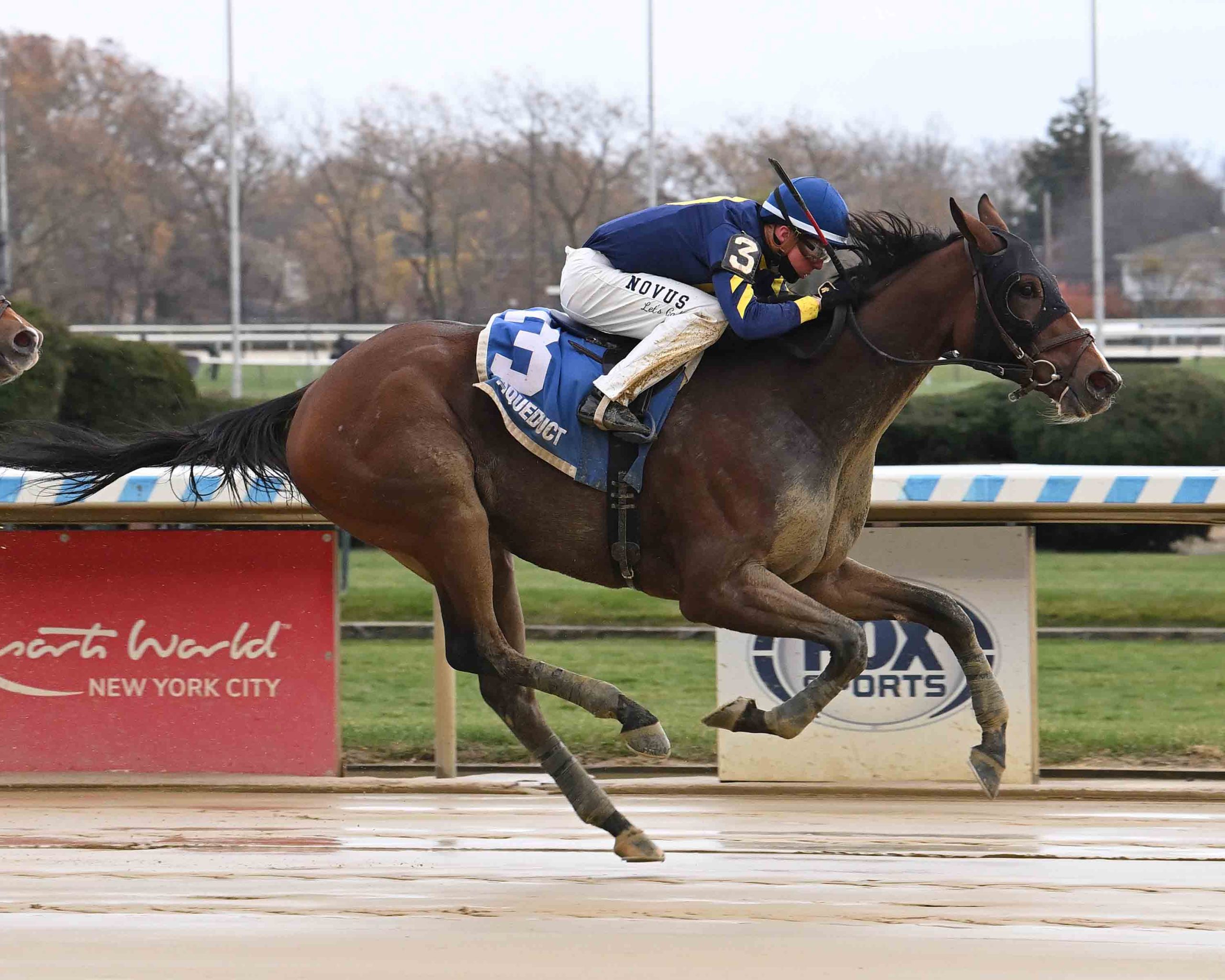 New York-Breds at the Races | New York State Thoroughbred Breeding ...