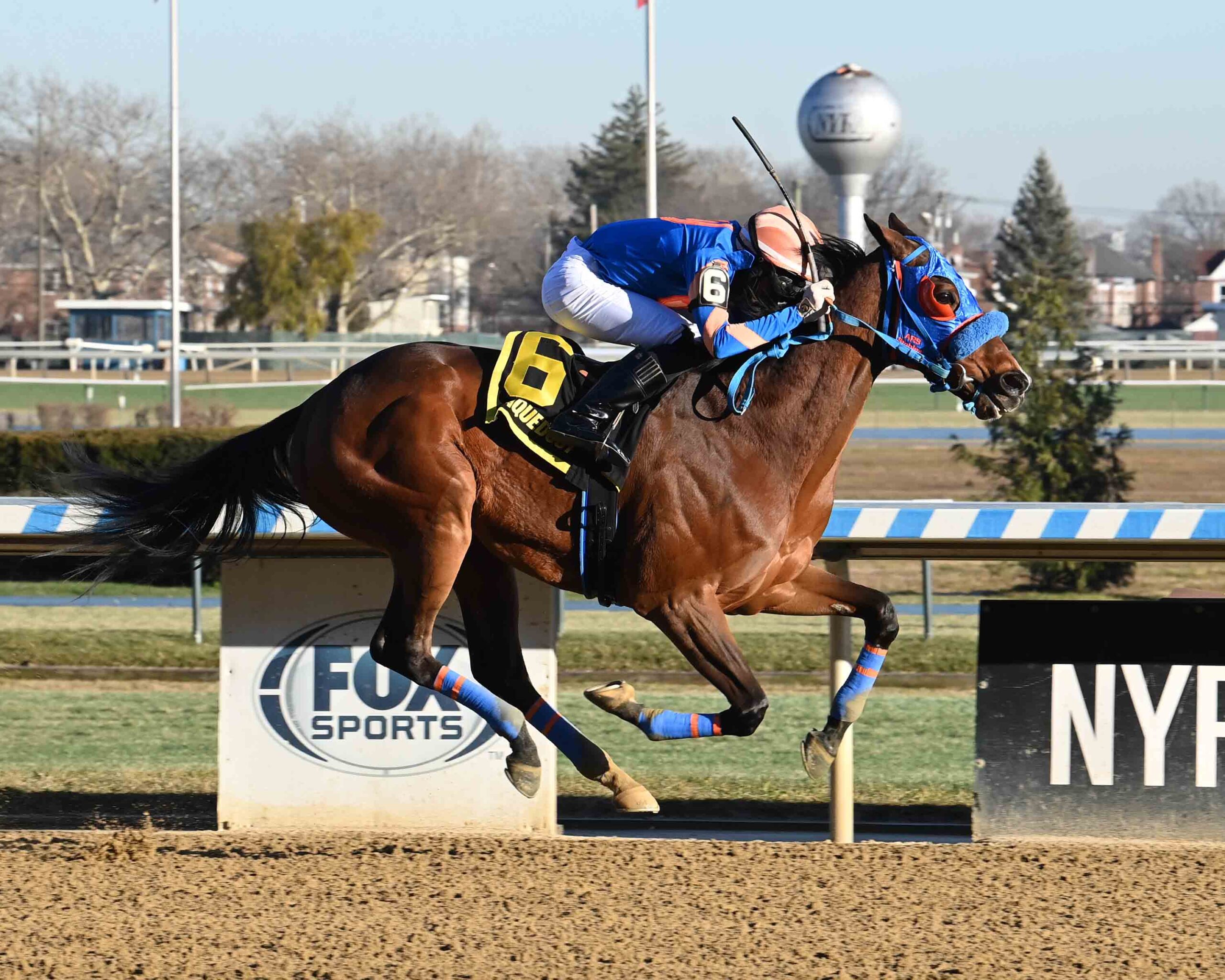 New York-Breds at the Races | New York State Thoroughbred Breeding ...