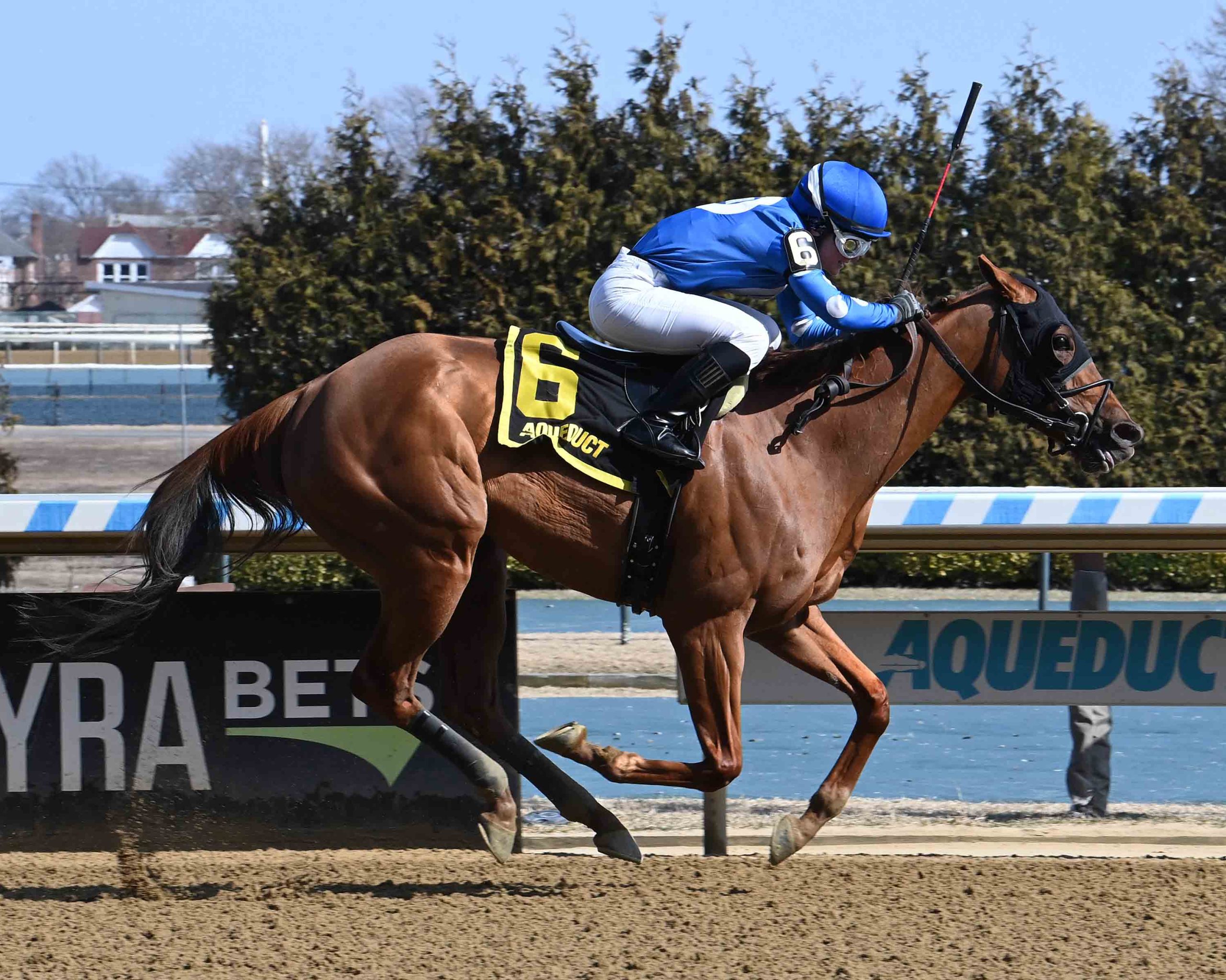 New York-Breds at the Races | New York State Thoroughbred Breeding ...