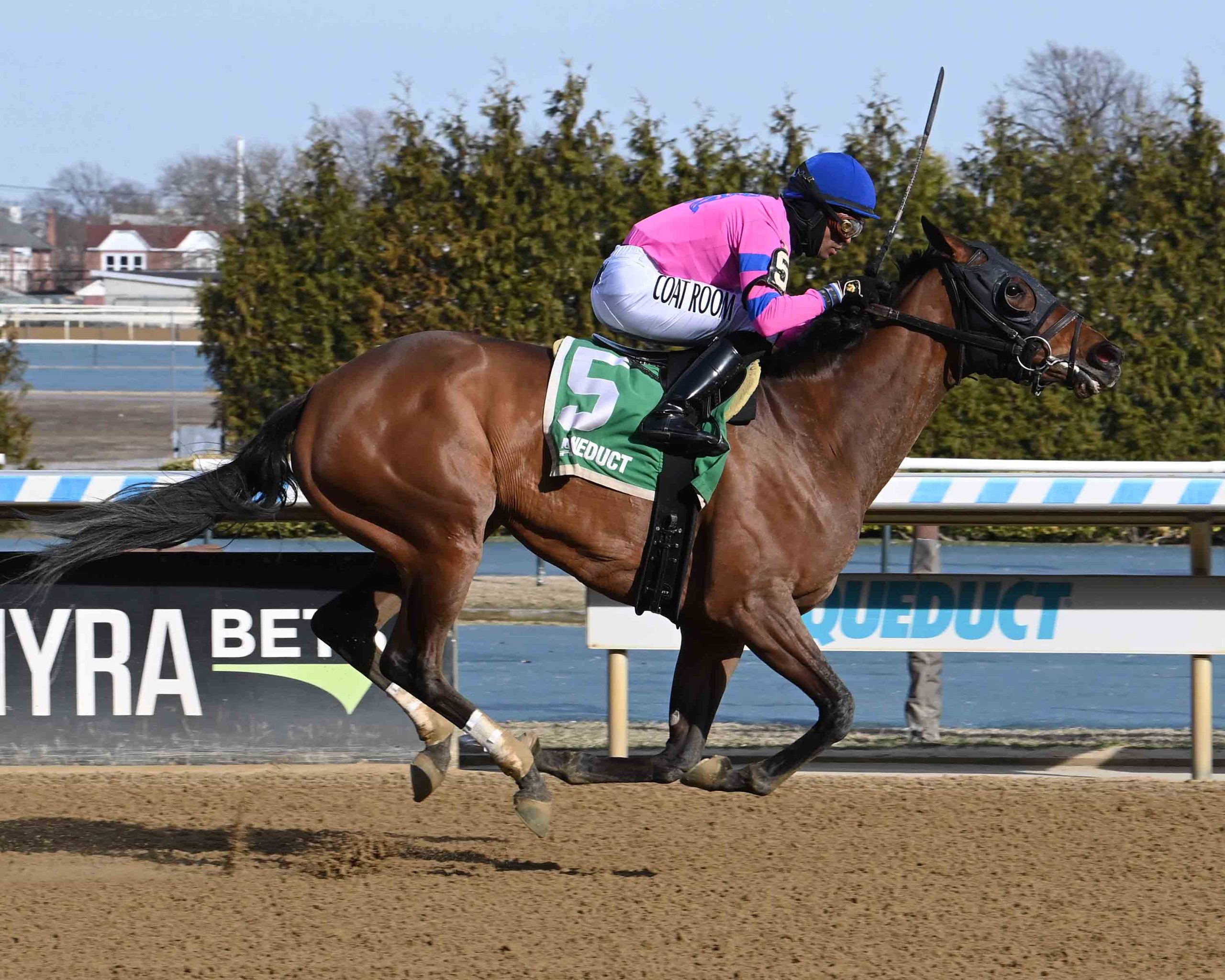 New York-Breds at the Races | New York State Thoroughbred Breeding ...