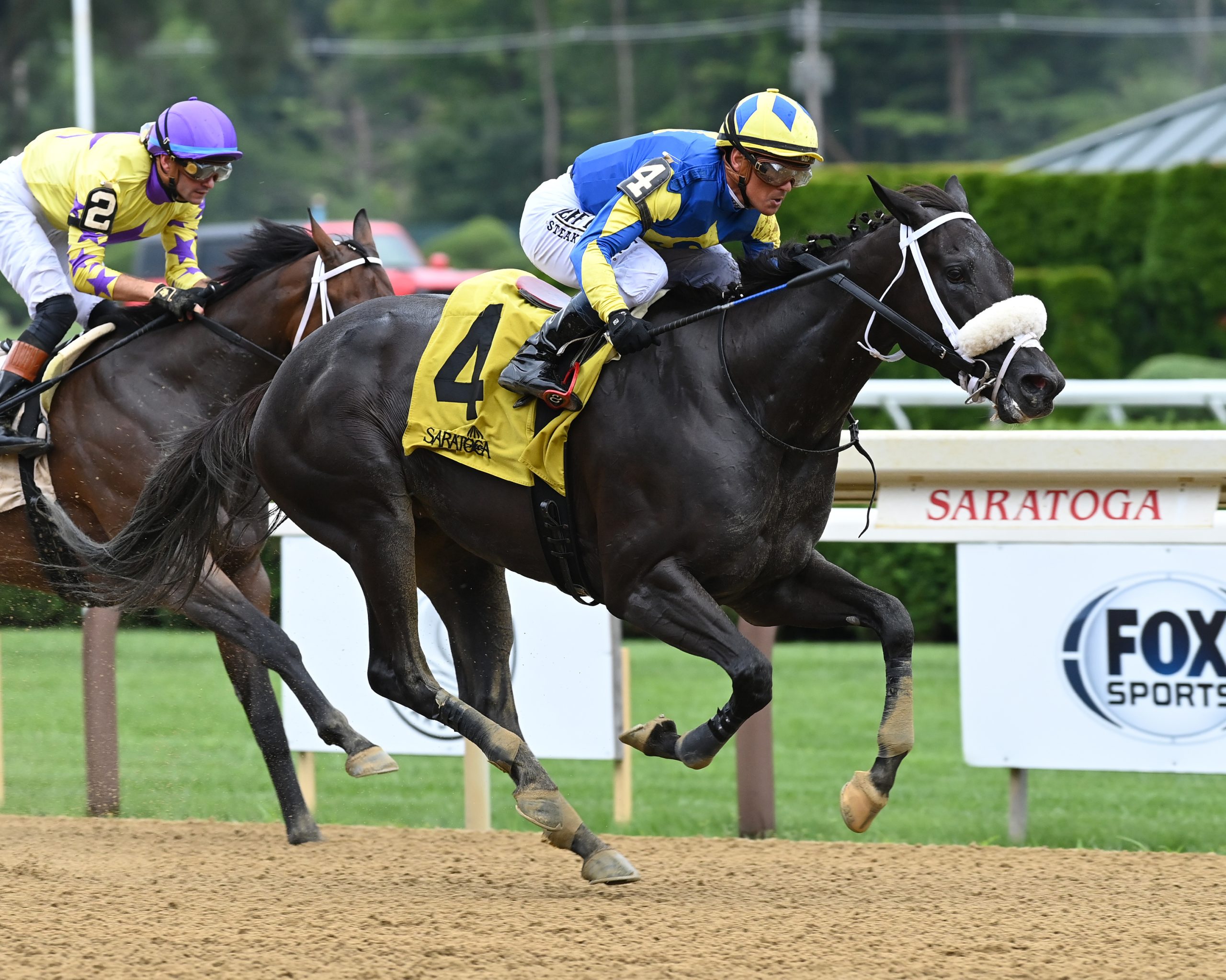 New York-Breds at the Races | New York State Thoroughbred Breeding ...